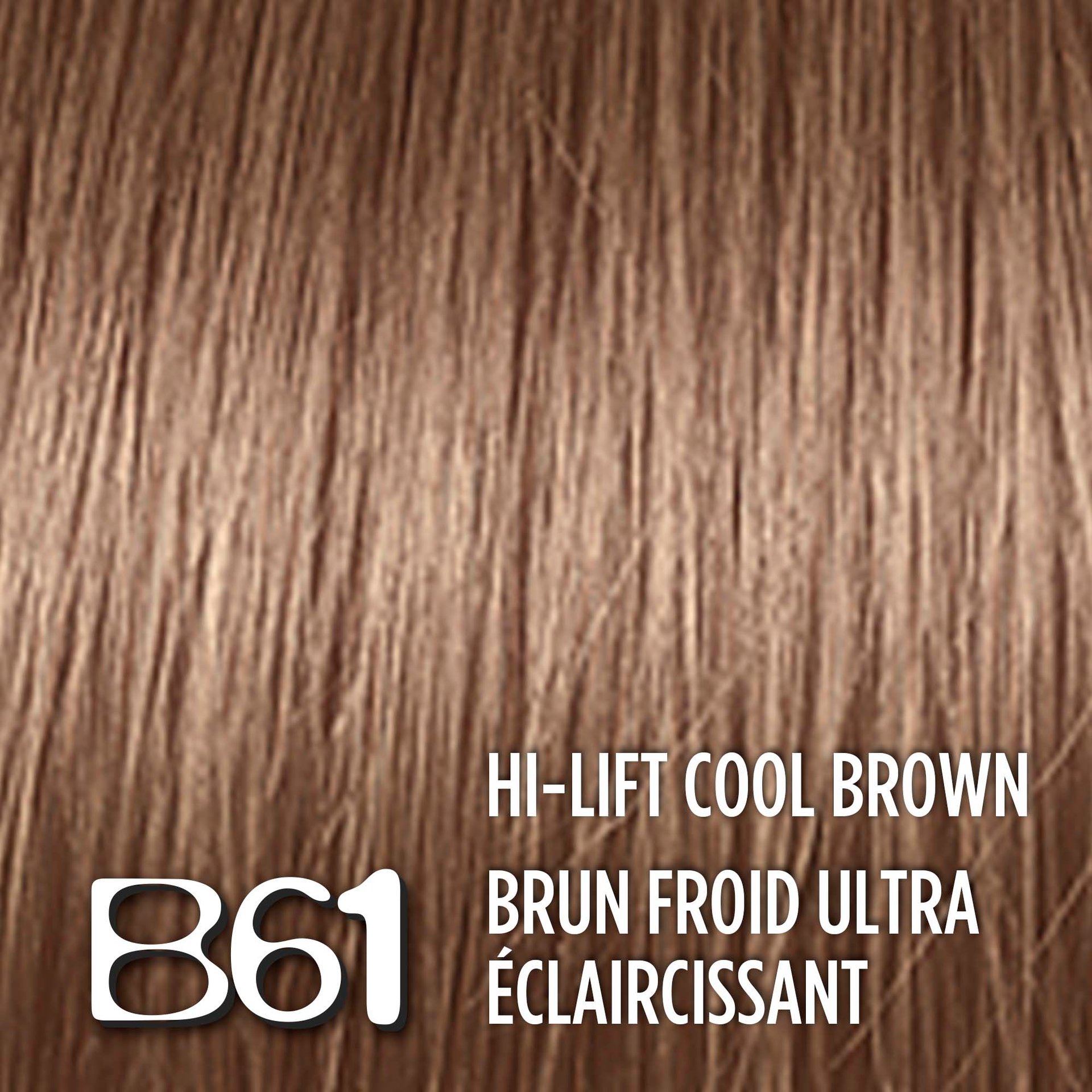 Feria Hi-Lift Browns B61 Hi-Lift Cool Brown | L'Oréal Paris