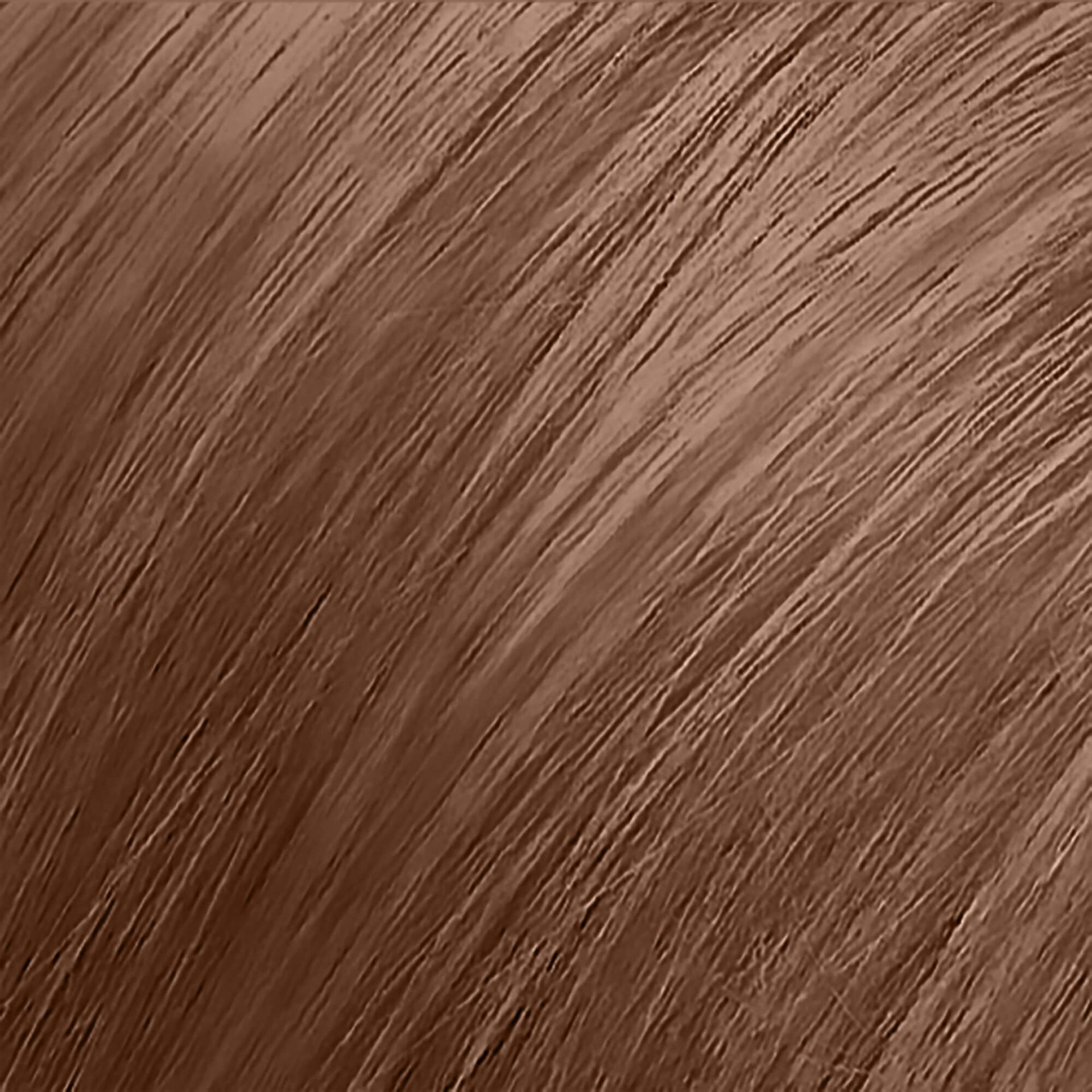Feria Hi-Lift Browns B61 Hi-Lift Cool Brown | L'Oréal Paris